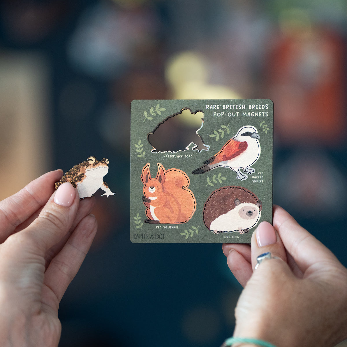 Rare British Breeds Magnet Set – Grace & Favour Home