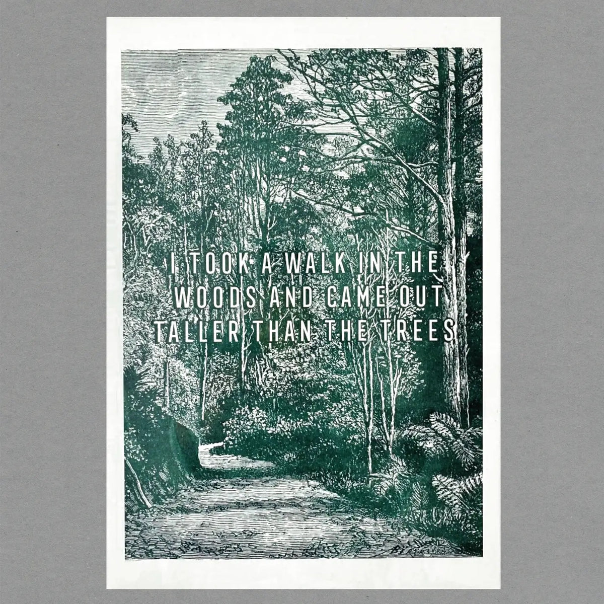 Walk In The Wood A3 Print – Grace & Favour Home